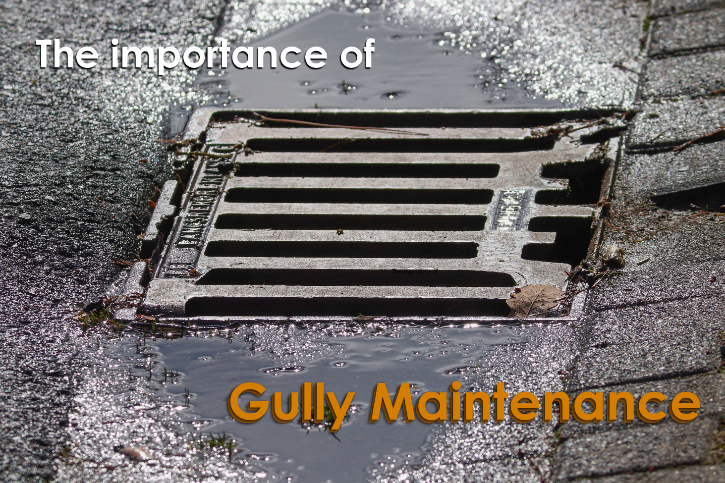 The Importance of Gully Cleaning and Maintenance